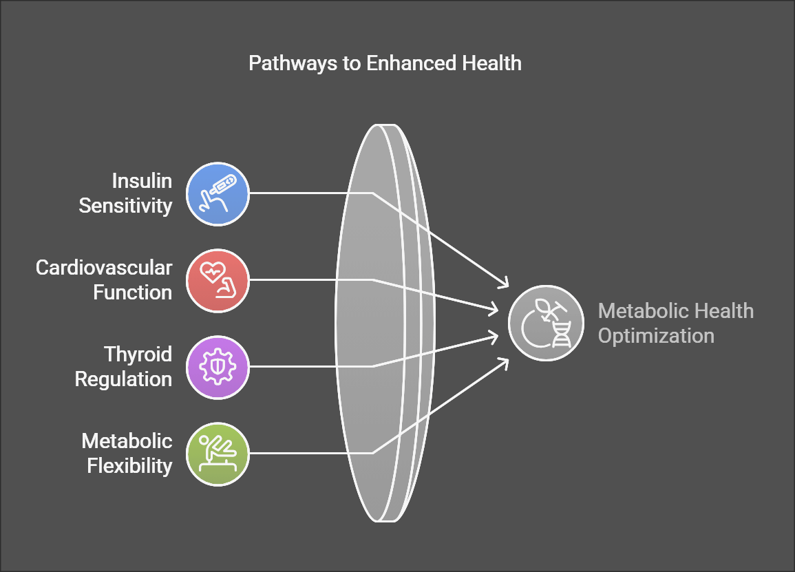 Body Composition: Beyond Calories and Cold Exposure - Alpha Rejuvenation